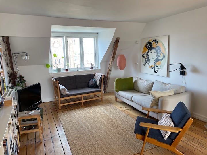 Rustik Nordisk Taglejlighed Centralt I Byen - Copenhaguen