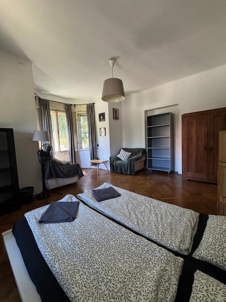 Spacious Room #5 With Free Parking - Ljubljana