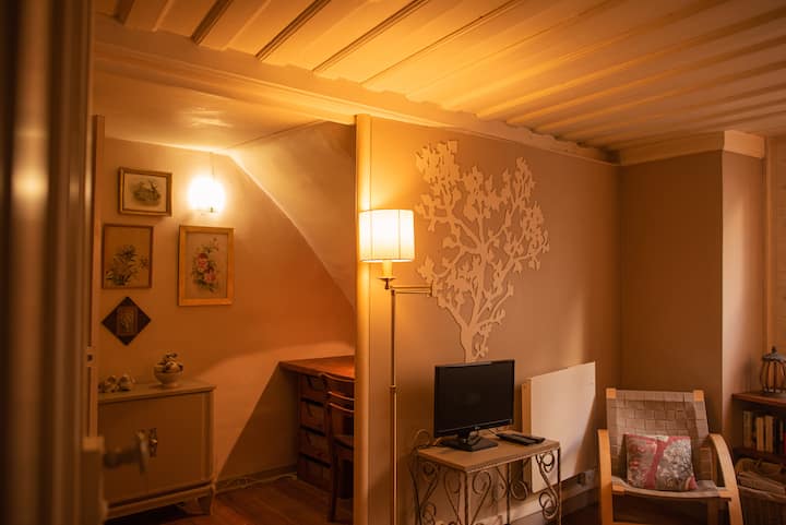 Duplex De 43m2 3pers Centre Ville - Écully
