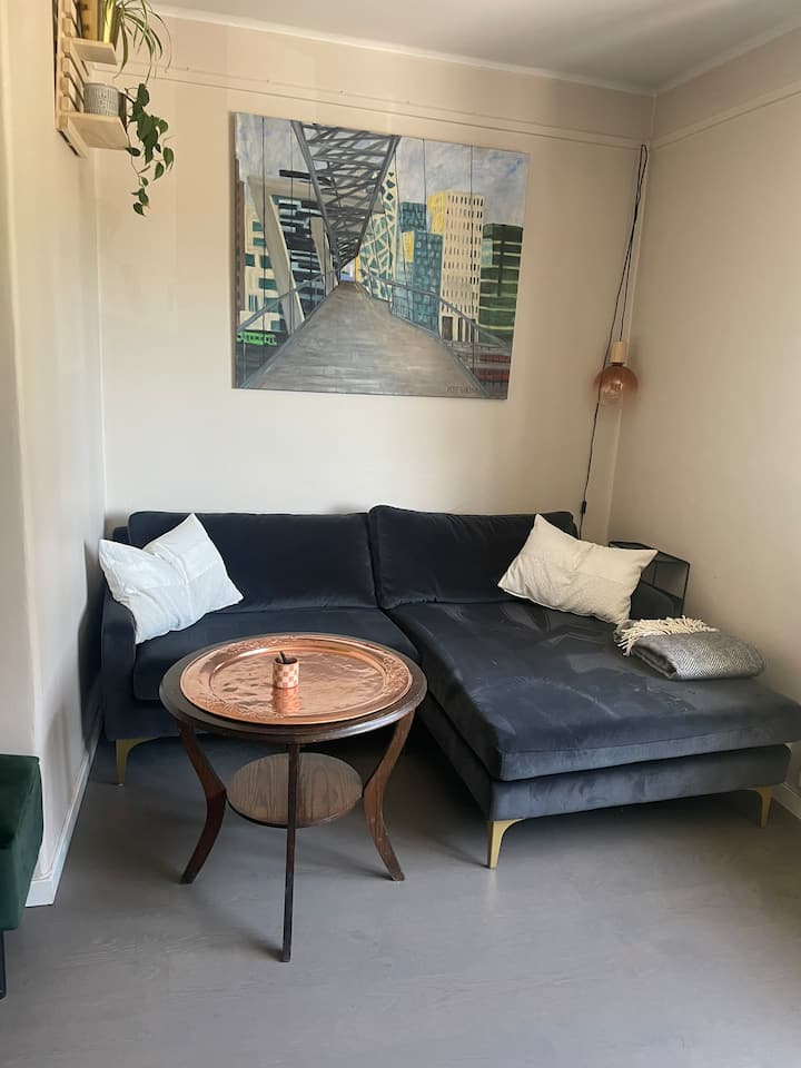 Lys Og Sjarmerende Leilighet På Grünerløkka - Oslo