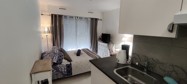 Studio Idéal Cure Ou Séjour Escapade - Balaruc-les-Bains