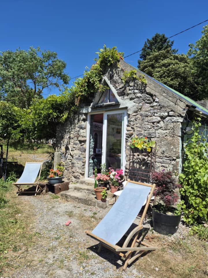 Manyweathersgallery
Paint & Pencils Peace & Sleep - Carrick-On-Suir