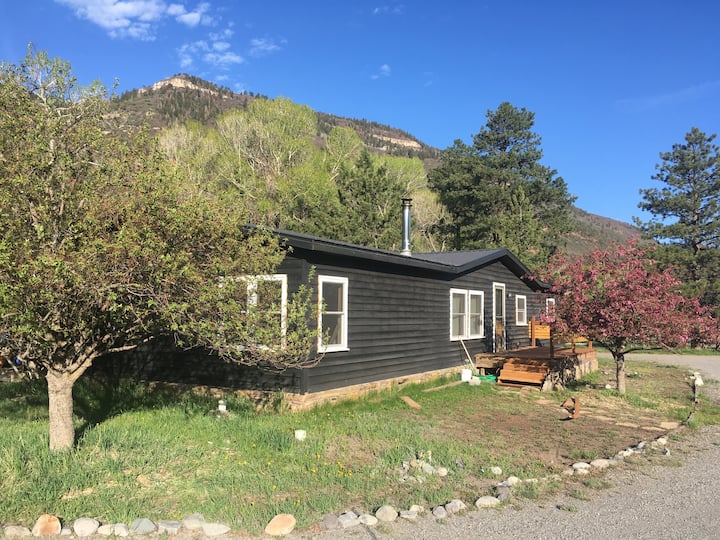 Ridgway Ouray 4bd 2bth Family Home Str-1-2024-069 - Ouray, CO