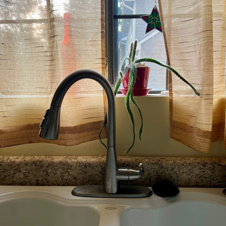 Sofi's Sunflower - Lawrence, KS