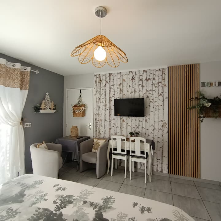 Chambre "Le Hautacam" Vue Montagne, Grand Confort. - Argelès-Gazost