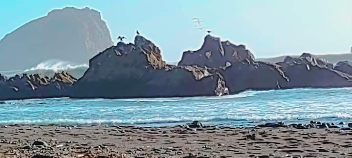 🌲Rm.2 'Woods,waves & Wags'🌲 
 🐬'Waves Rm.🌊🏄‍♂ - Klamath, CA