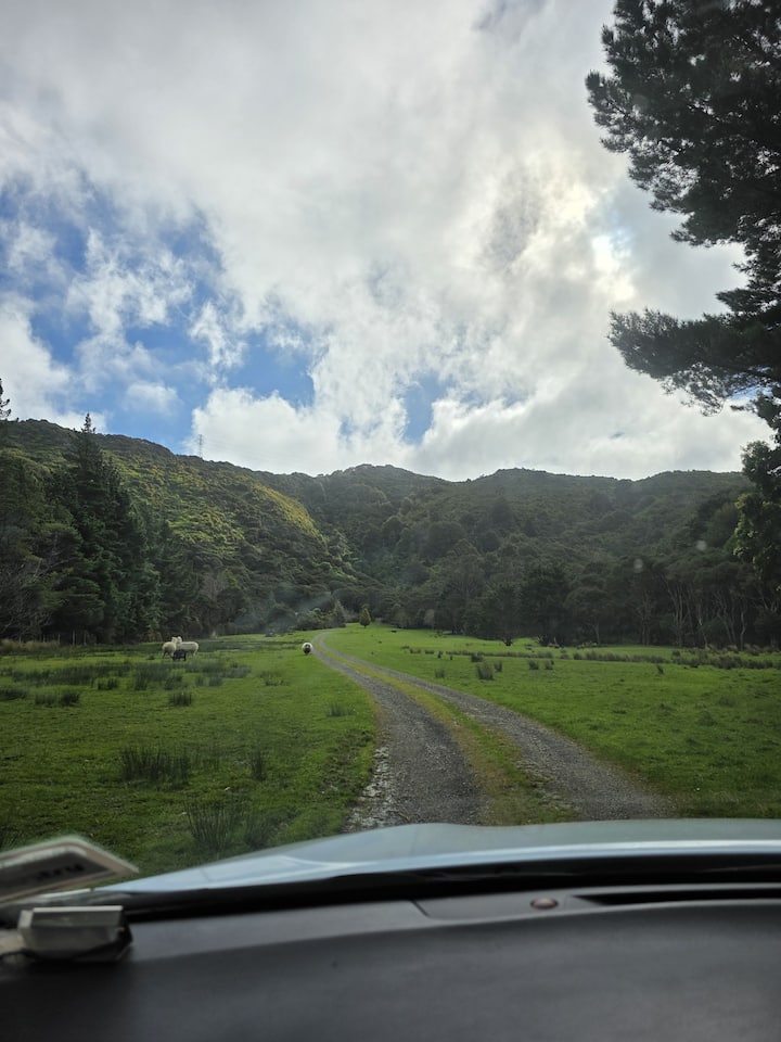 Lifestyle Farm Stay Retreat Near Cbd - Lower Hutt