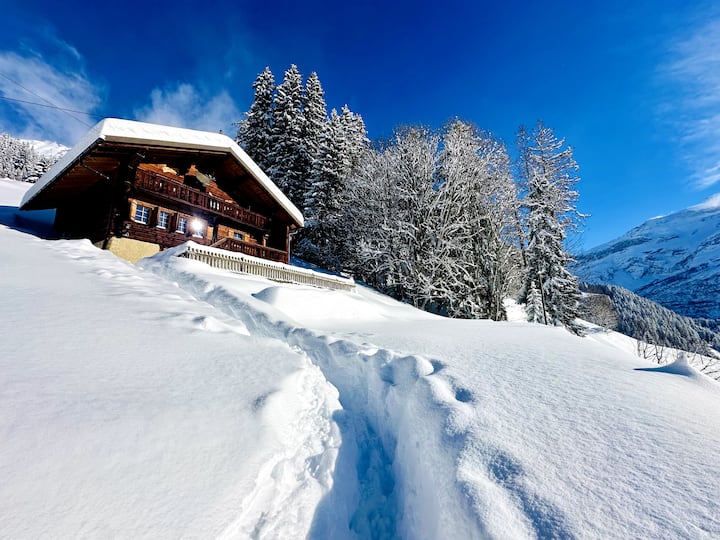 Chalet Typique - Les Diablerets