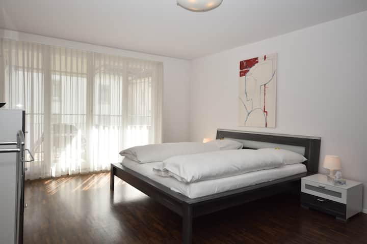 Amazing 2br Near Lake - Flower 33 - Kanton Zürich