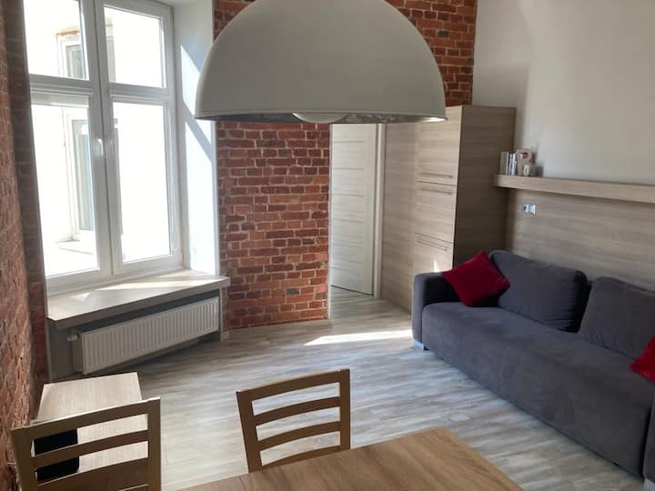 Przytulny Apartament W Centrum Miasta - Łódź