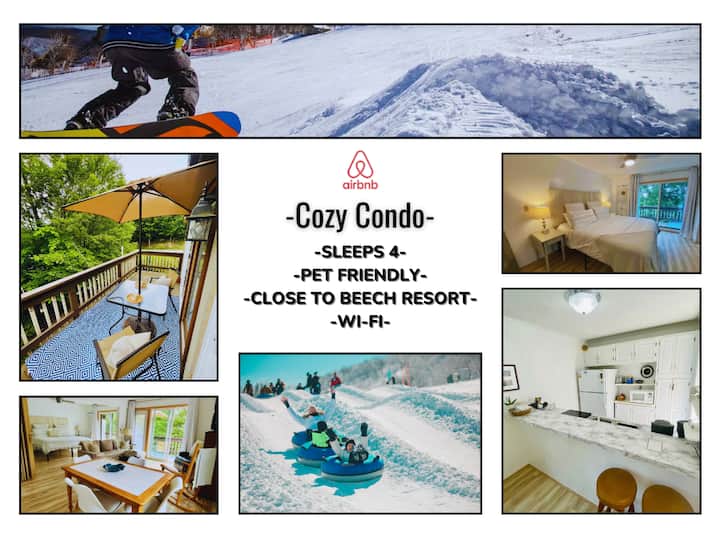 Walk To Beech Mountain Resort, Pet Friendly! - Beech Mountain, NC
