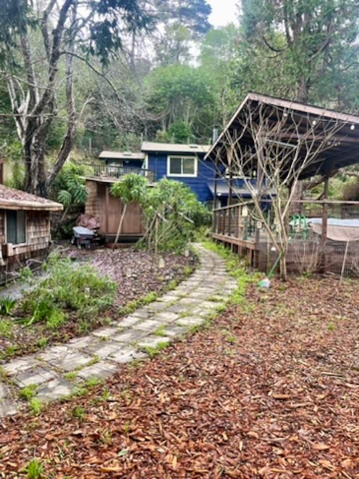 Hideaway In The Woods - Tomales Bay State Park, Inverness