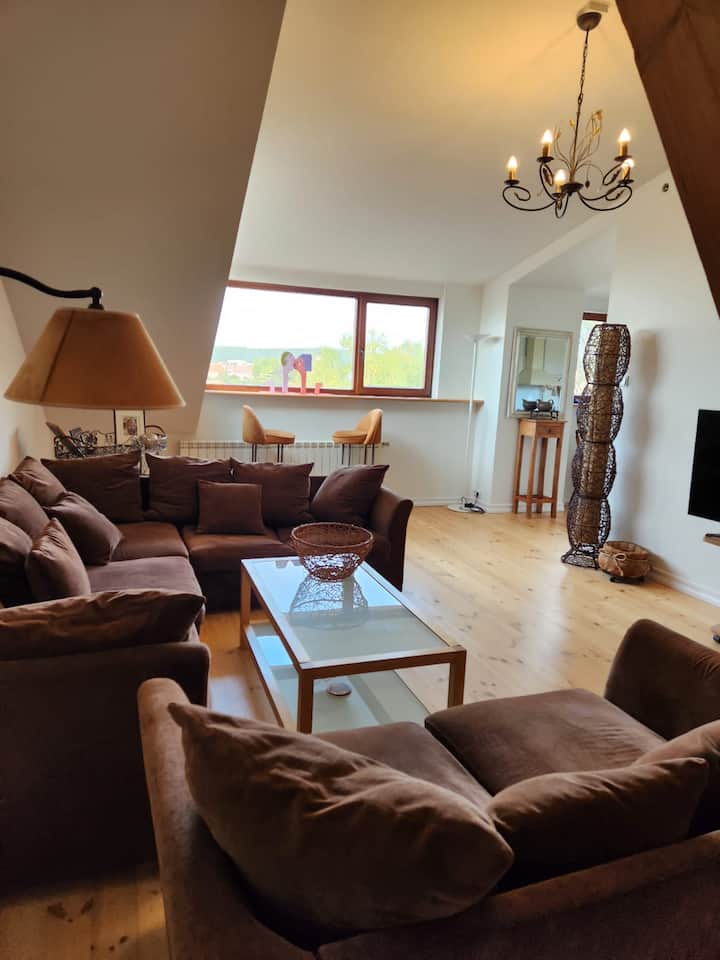 Sunny Spacious & Cozy City Centre Penthouse - Vilnius