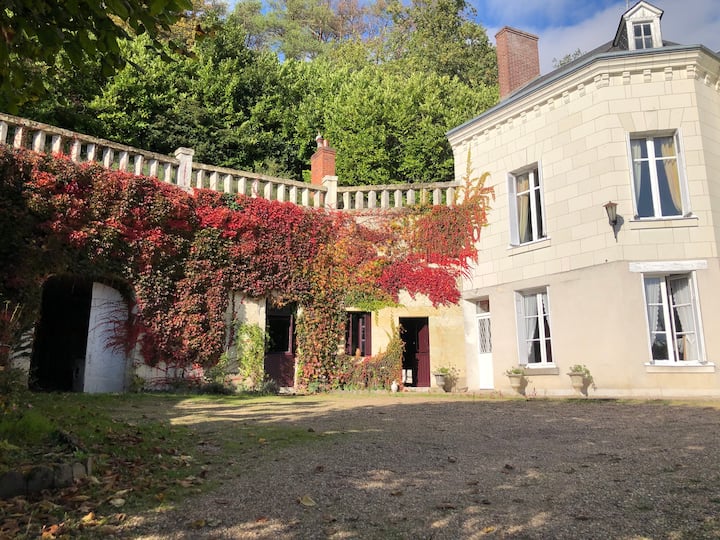 Propriété Dans La Vallée De La Loire - Montrichard