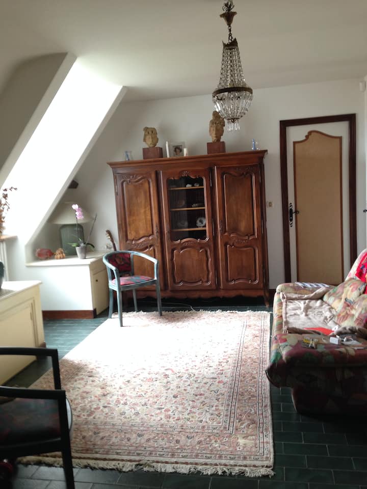 Belle Maison Avec Jardin Arboré De 800m2 à Orsay - Saclay