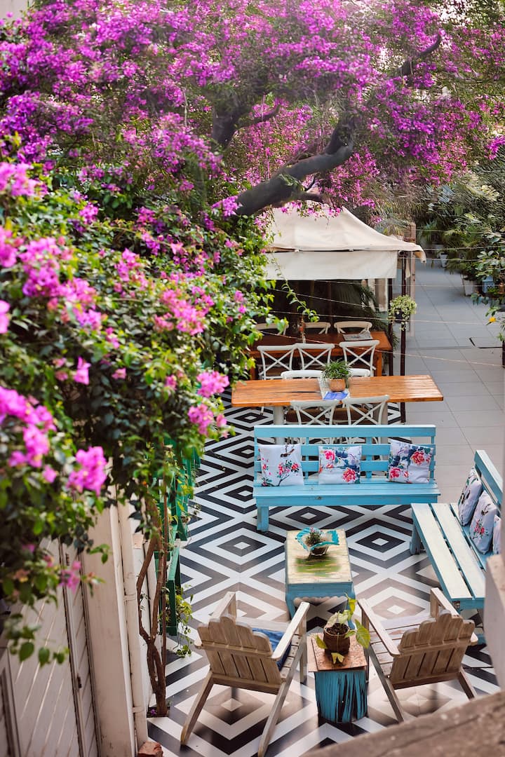 The Bougainvillea - Garden View Room - Amritsar