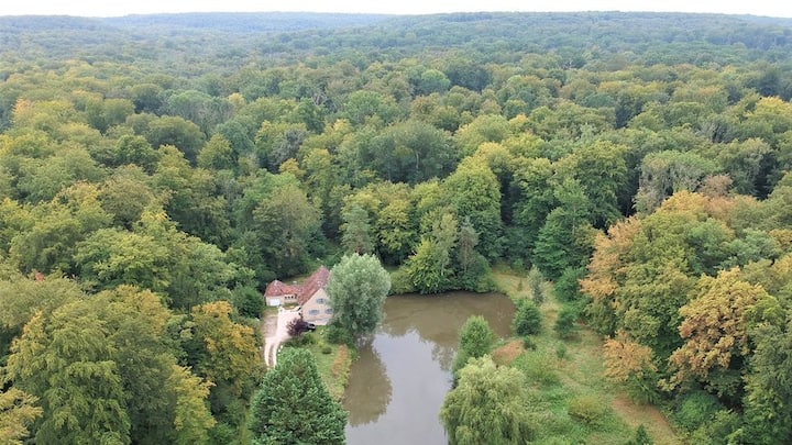 Gite En Forêt - Pierrefonds