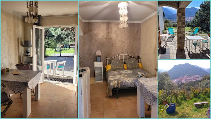 Studio Belle Vue Avec Jardin - Corte