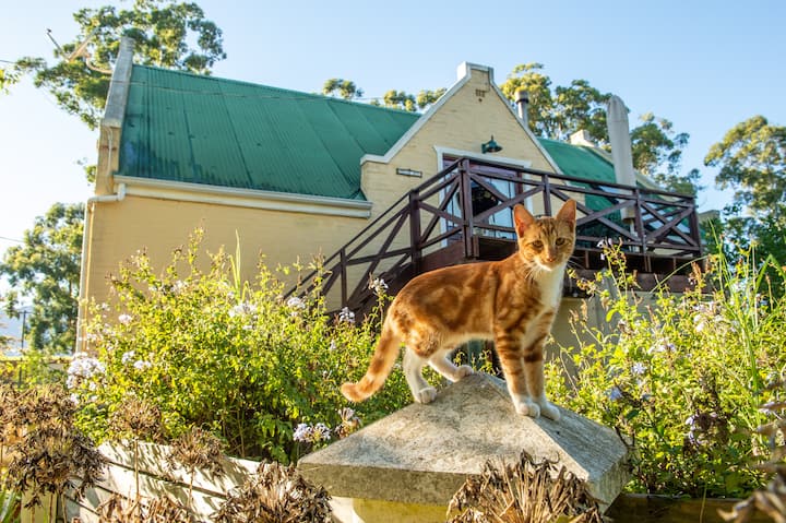 Cosy Farmstay | Pecanut Cottage - Stellenbosch
