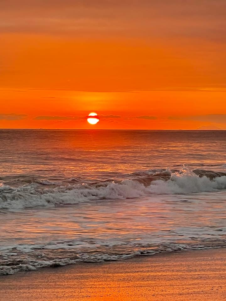 Walk To Beach/private Canyon/mountain View/surf - Malibu