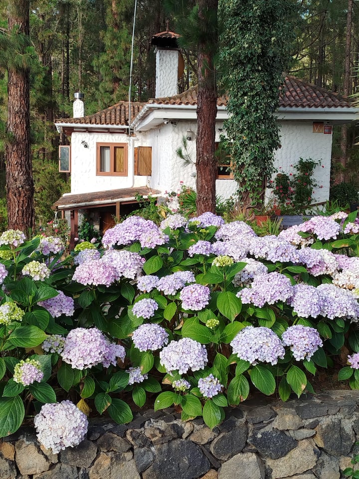 Floral Garden House - Tenerife