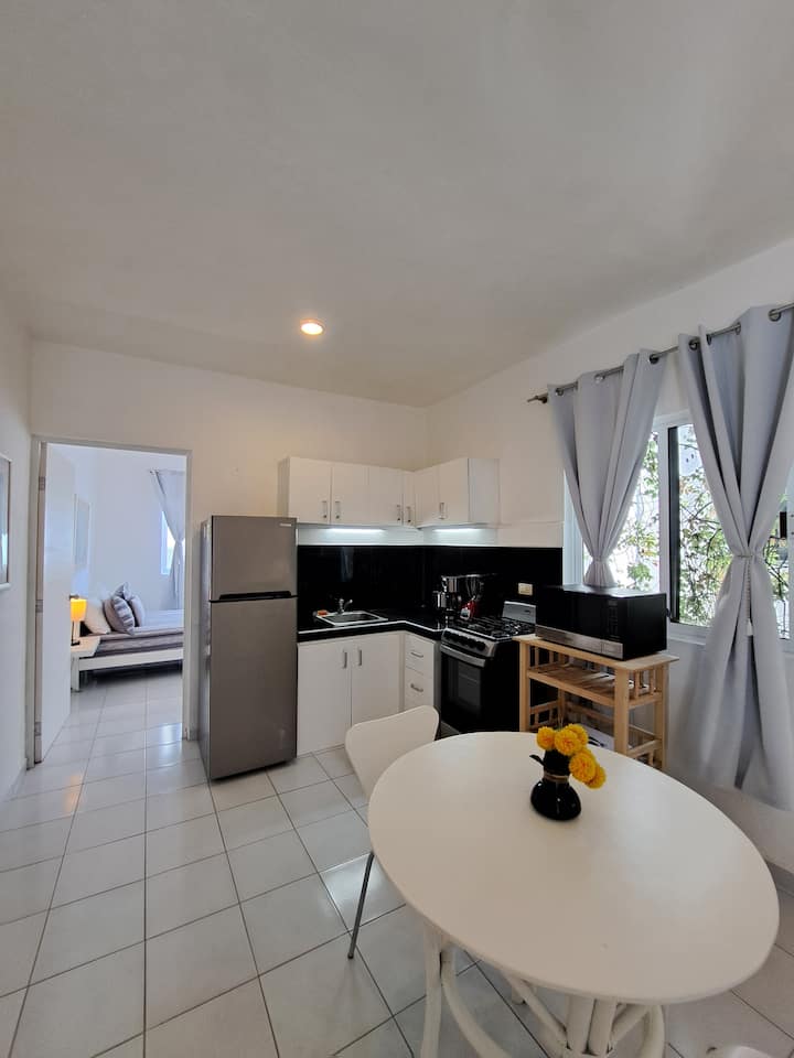 Modern 1 Bedroom In Downtown Playa! - Playa del Carmen