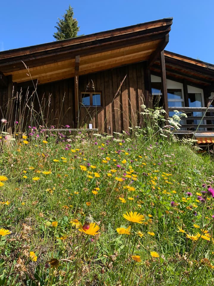 Ankommen - Wohlfühlen In Valbella - Lenzerheide