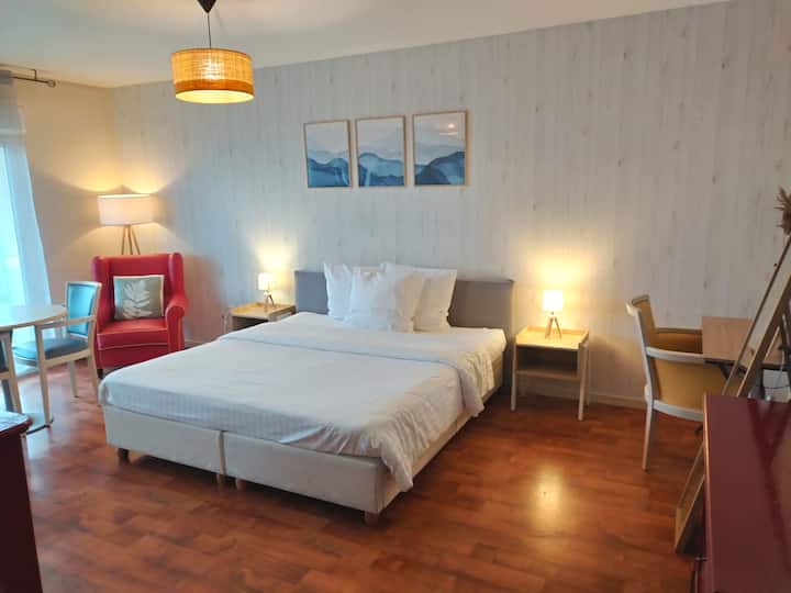 Grand Studio - Appart'hotel Résidence Carouge - Linas