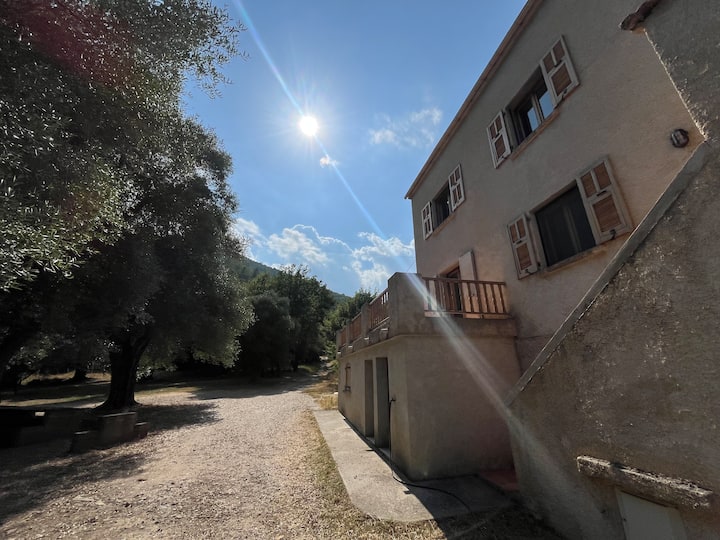 Grande Villa Rénovée 12 Couchages Proche De Corte - Venaco