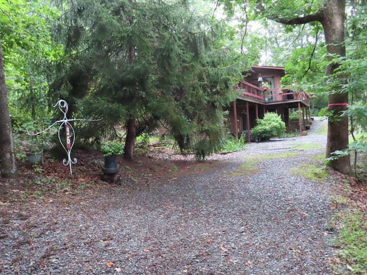 Sweetwood Studio Apartment
- Black Mountain - Black Mountain, NC