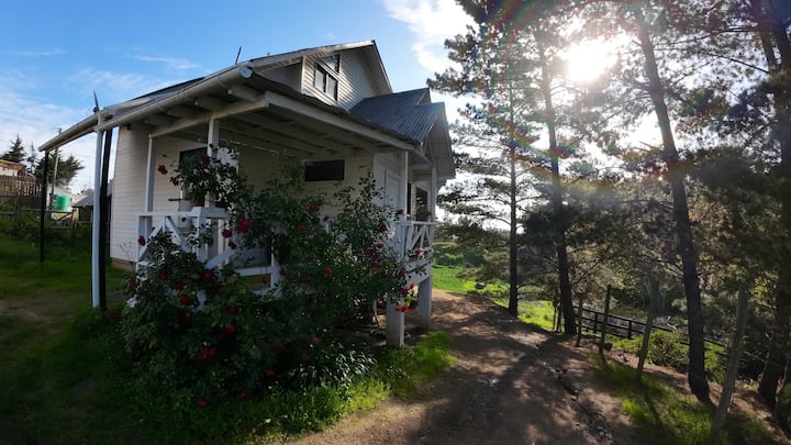 Casa De La Torre Punta De Lobos 10 Pers. - Pichilemu