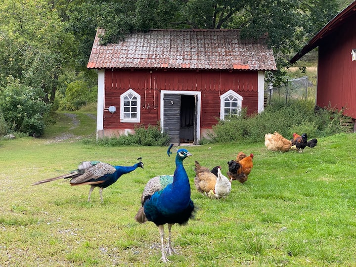 Farm Cottage W/ Open Views | Near Lake & Free Boat - Valdemarsvik