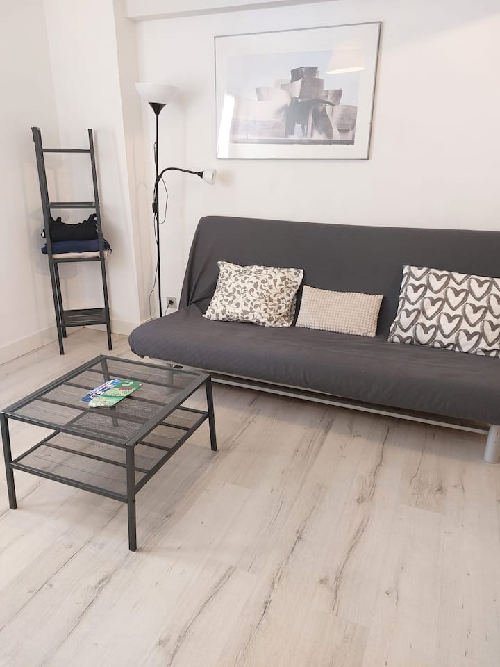 Bilbaohome Parking Gratis 15 Min A Pie Casco Viejo Ebi639 - Bilbao