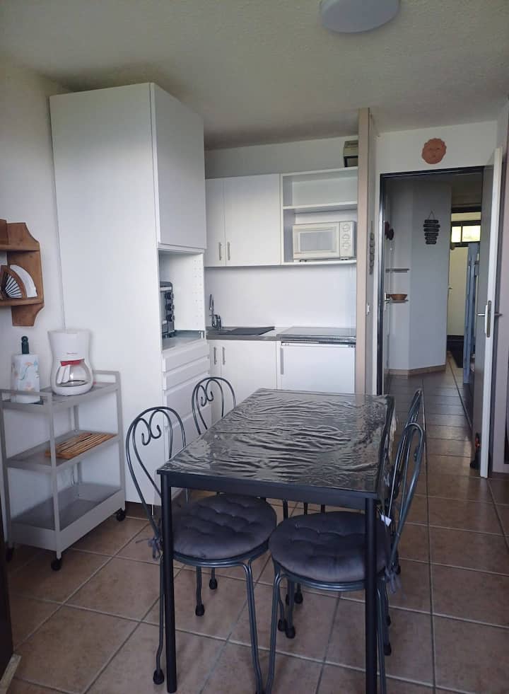 Alpe D'huez - Appart 4pers Avec Terrasse Et Garage - L'Alpe d'Huez