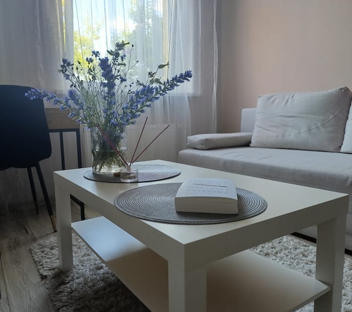 One-and-a-half-bedroom Apartment Next To Old Town. - Vilnius