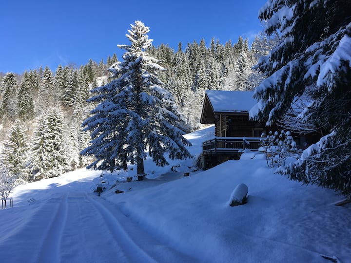 Chalet Cosy Pour Amoureux De Nature - La Clusaz