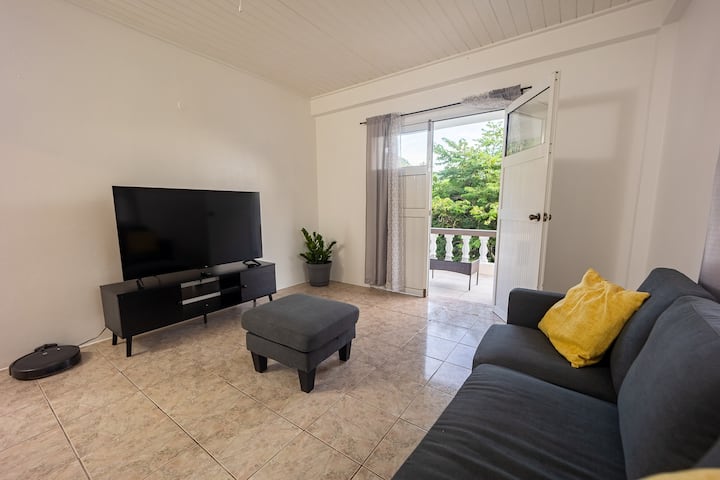 Spacious Apartment In St. George - Grenada