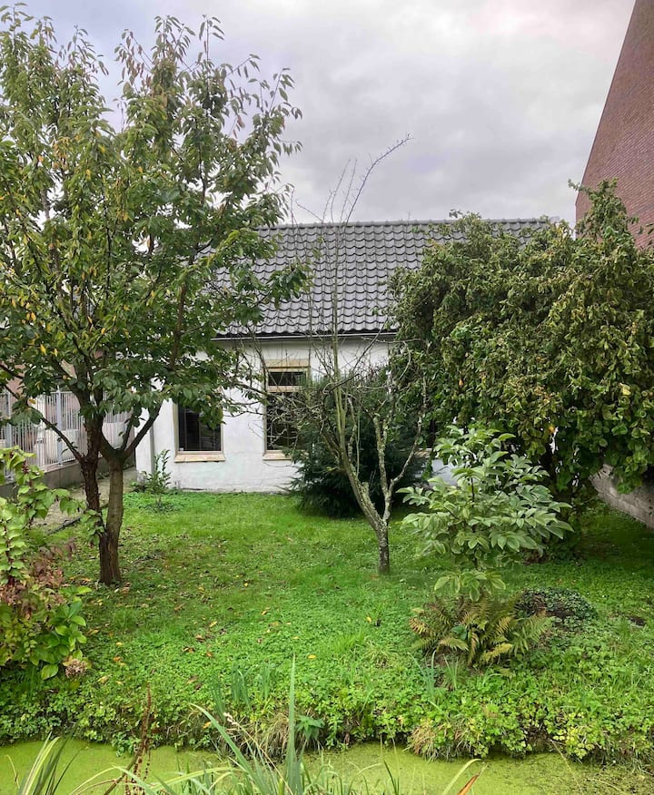 Gezelligste Huis Van Rotterdam Bij Kralingse Bos - Rotterdam