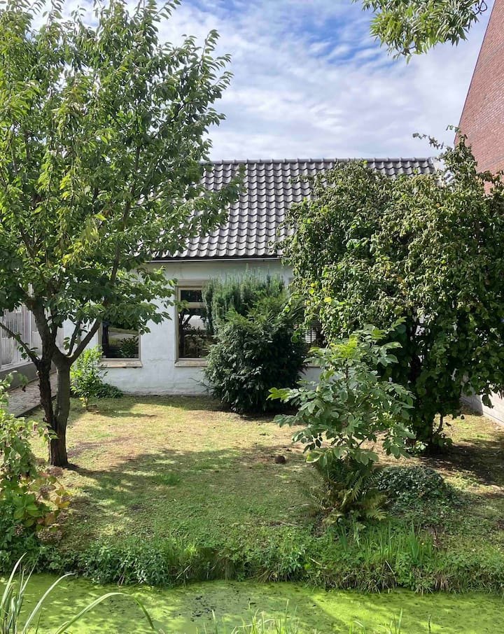 Gezelligste Huis Van Rotterdam - Rotterdam