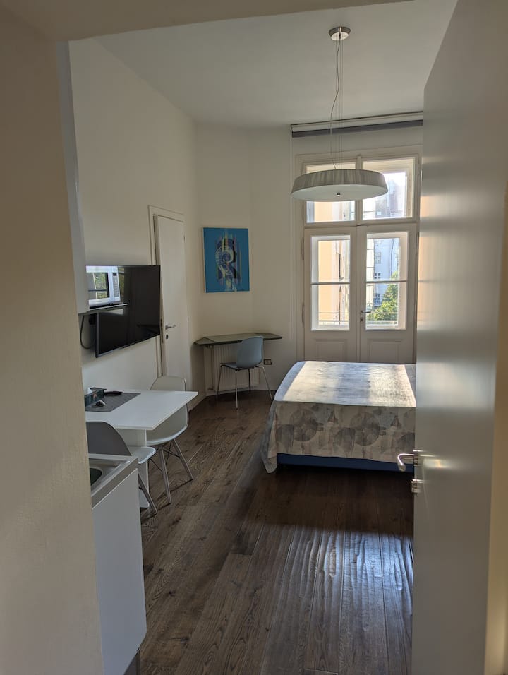 Fully Equipped Studio In Vinohrady With Balcony - Praha