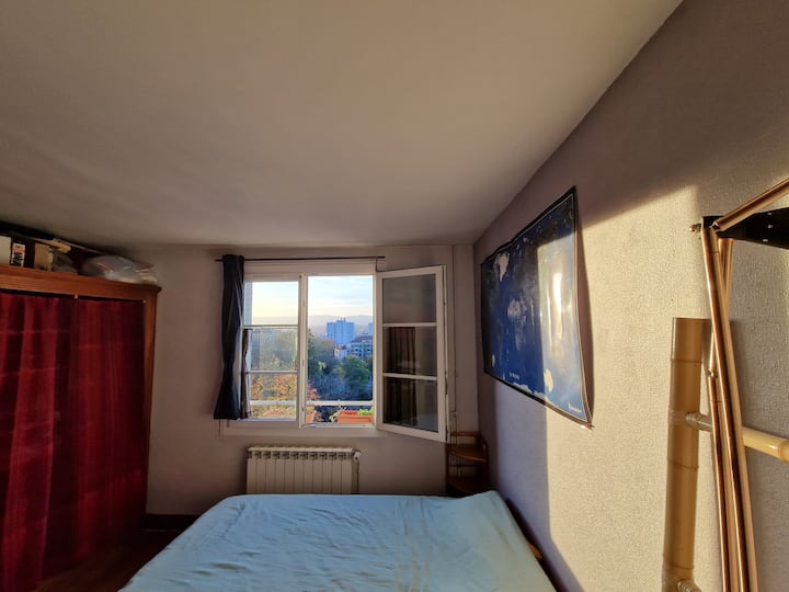 Logement Indépendant Dernier éTage Sans Vis à Vis - Lyon