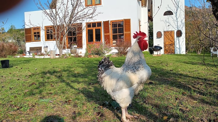 Orchards View - 4 Pax - Franschhoek
