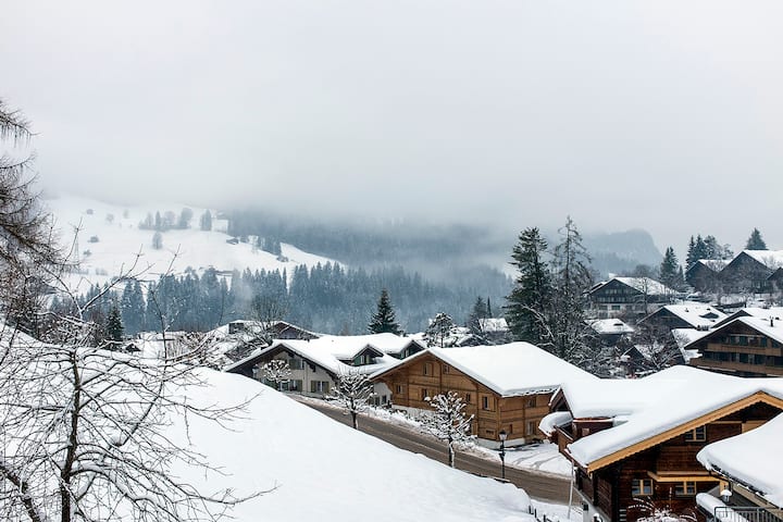 Central Beautiful Gstaad Apartment - Lauenen