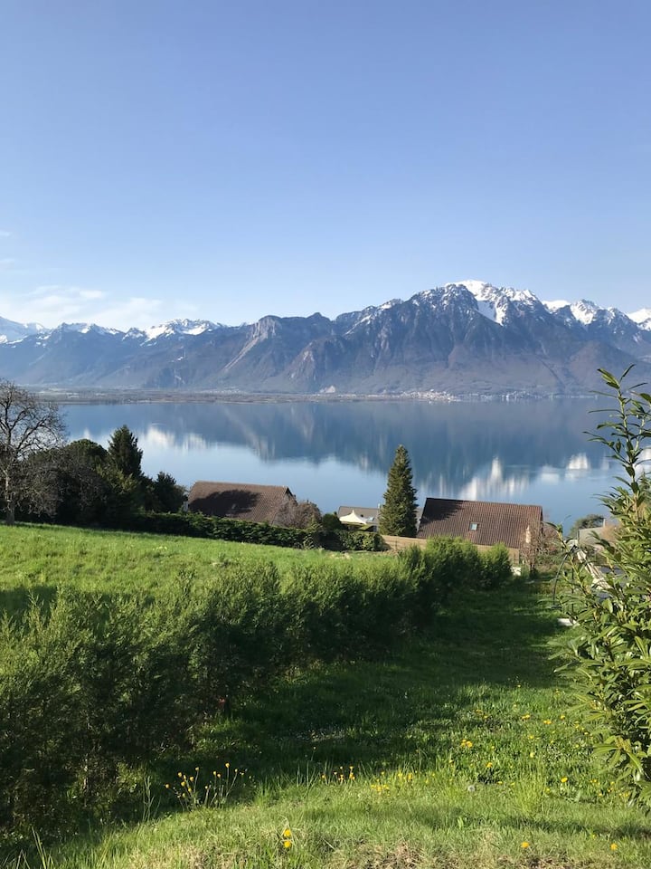 La Vigie Apartment For Short And Long Duration - Vevey
