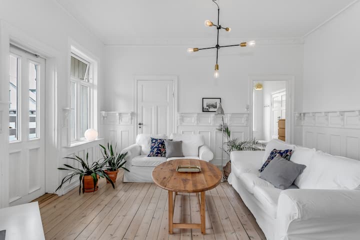 Bright, Beautiful, Spacious, City Center (3 Bdrm) - Reykjavik