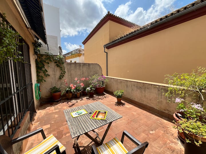 Historic Center+private Terrace +Wifi Cable - Siviglia