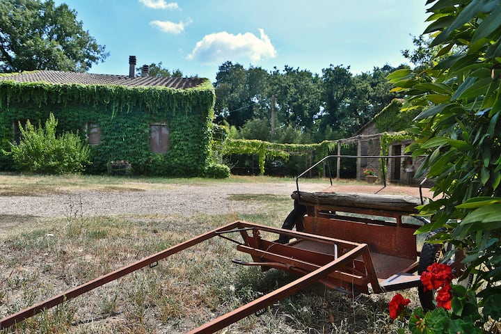 La Melagrana - Là Où Commence La Forêt - Pitigliano