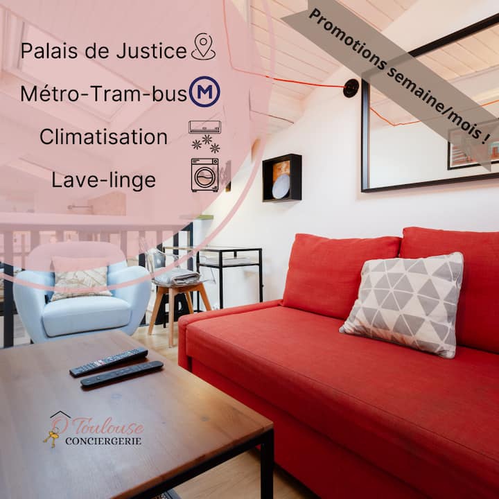 Le Duplex Central Tout éQuipé - Clim - Toulouse