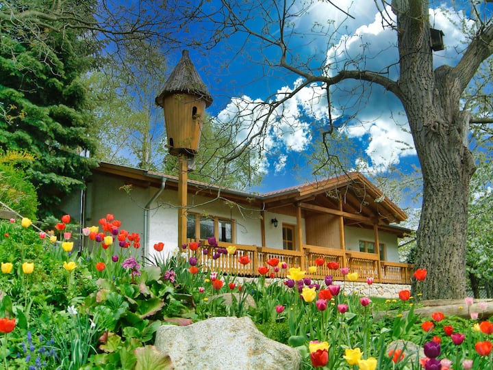 Harzer Feriengarten Ferienhaus (Fewo 1) - Quedlinburg