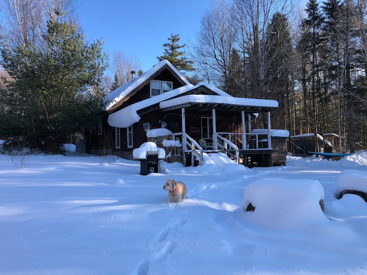 Chalet-7 Min To Ski Stratton-woodstove-view-dog Ok - Jamaica, VT
